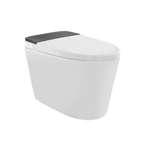 Fully Automatic Rimless Floor Mounted WC
